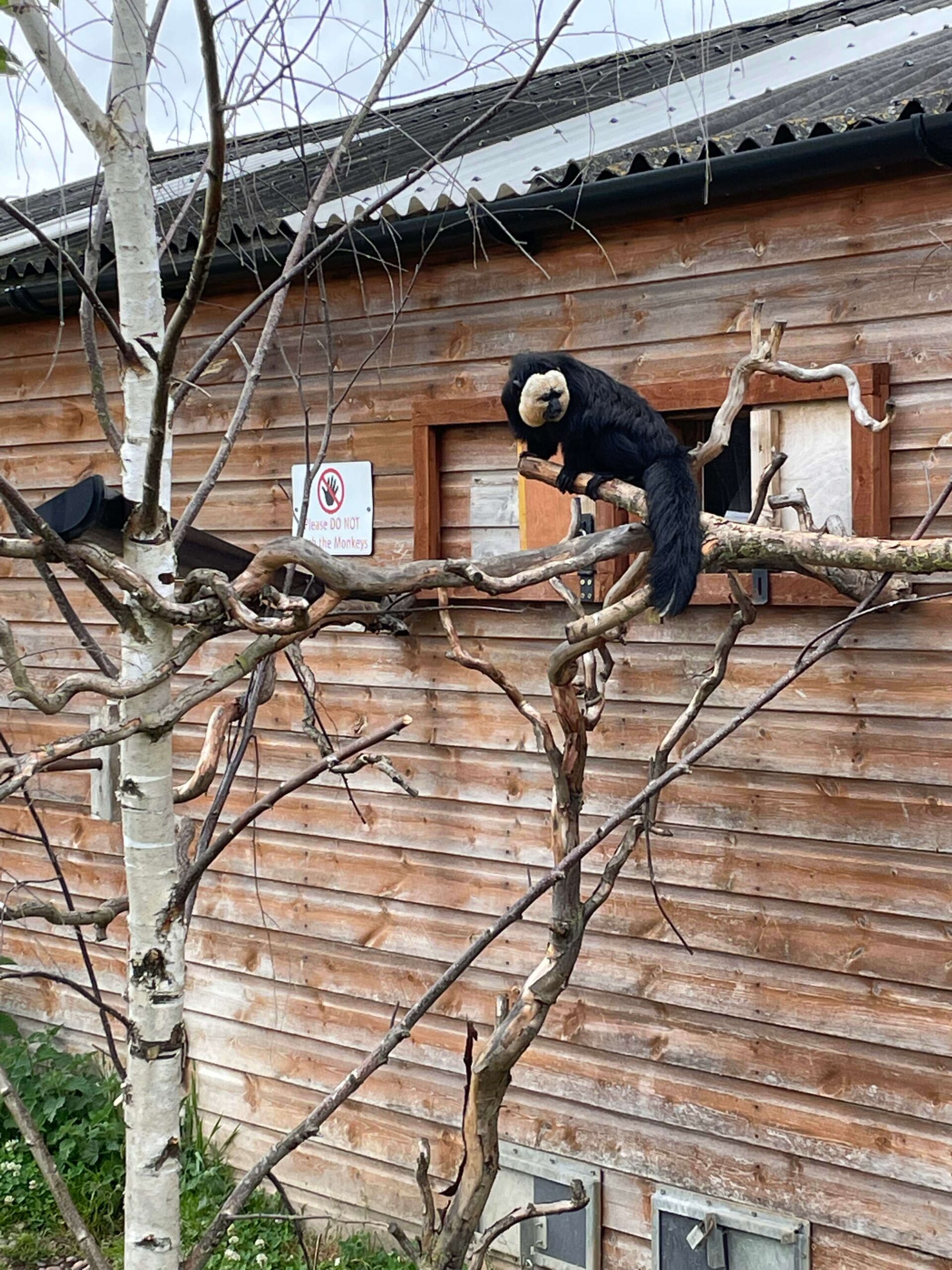 Our Trip to Yorkshire Wildlife Park – Thrybergh Academy